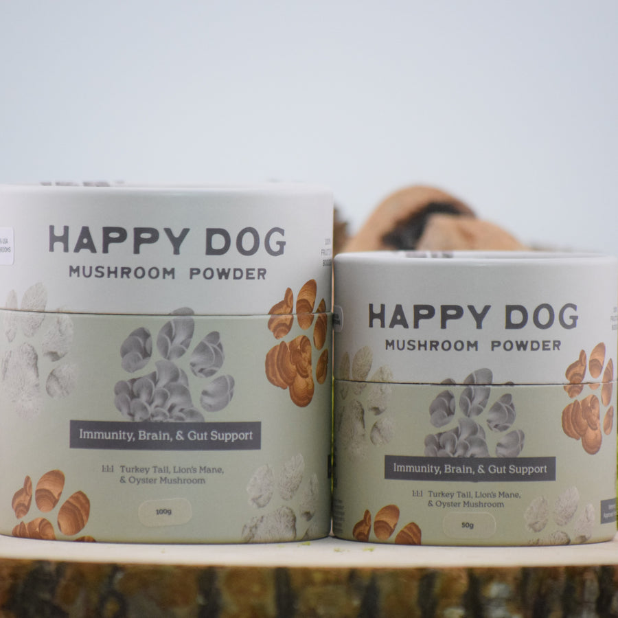 Happy Mushroom Co. | Fruiting Body Mushroom Tinctures for Wellness